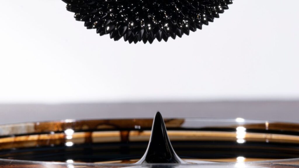 Unveiling the Allure: The Story Behind Black Opium Perfume